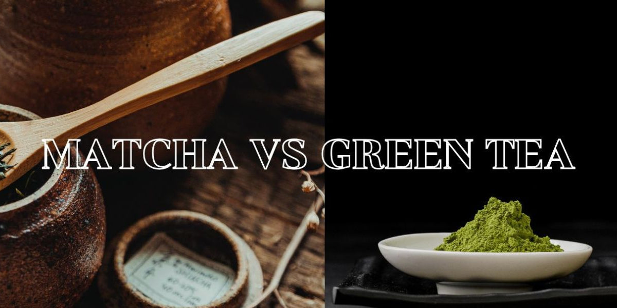 Green Tea vs Matcha: ชาเขียวกับมัทฉะ อันไหนมีประโยชน์ดีกว่า? — Chaidim ...